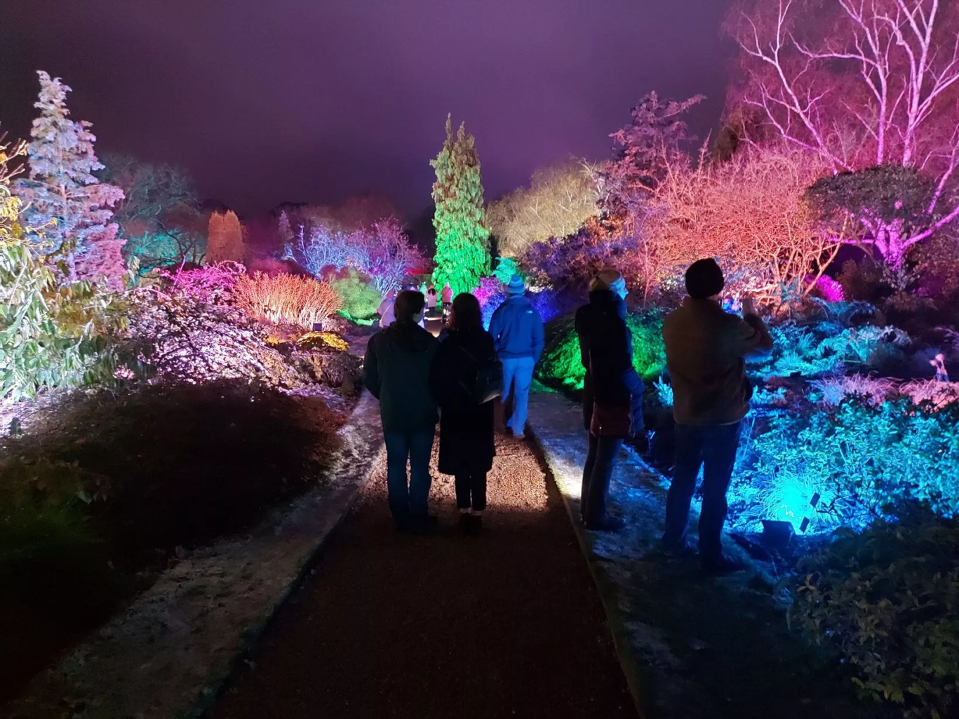 Cambridge Botanic Lights - The Varsity Hotel